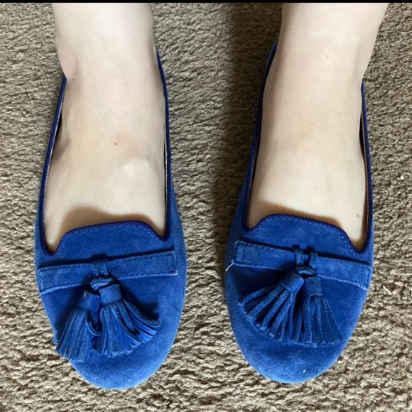 Coach | Shoes | Coach Blue Suede Modern Loafer | Poshmark